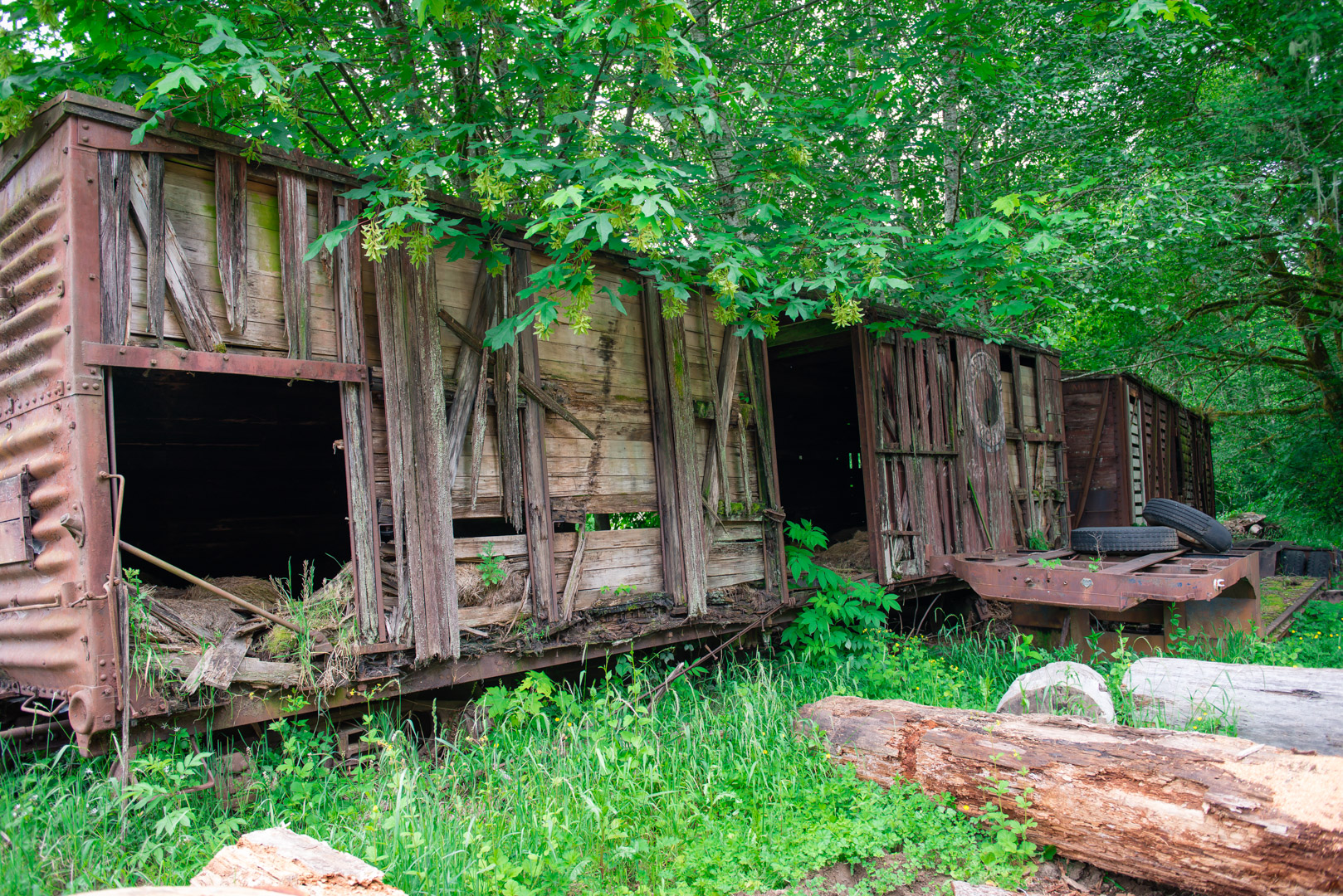 Adventuring in The Goondocks – Melissa Whitney Photography