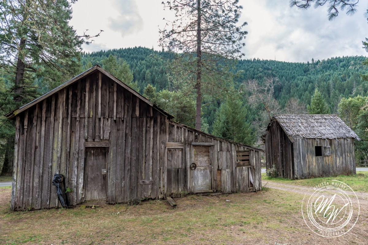 Golden, Oregon – Melissa Whitney Photography