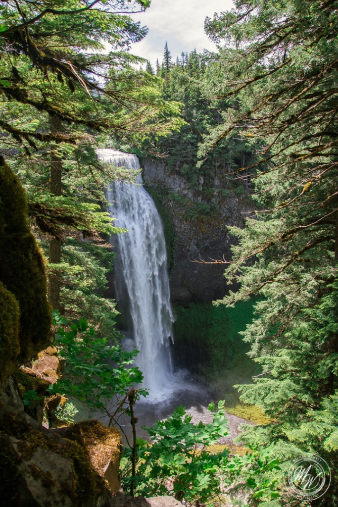 Salt Creek Falls – Melissa Whitney Photography
