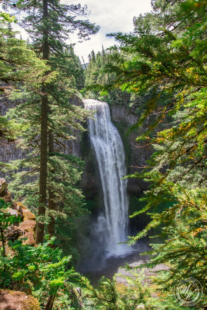 Salt Creek Falls – Melissa Whitney Photography